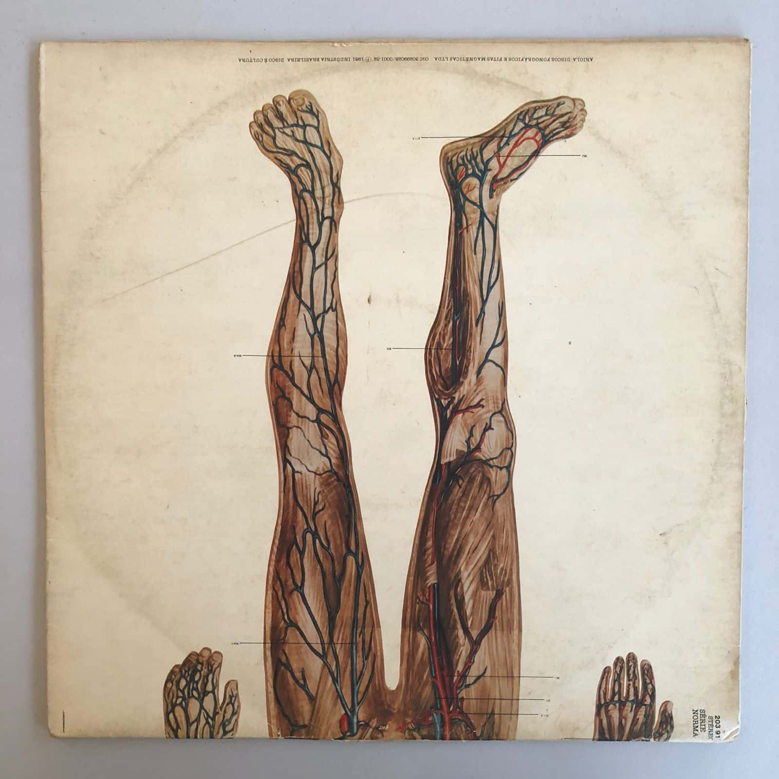 Johan Timman - Trip Into the Body - Boa Viagem Discos