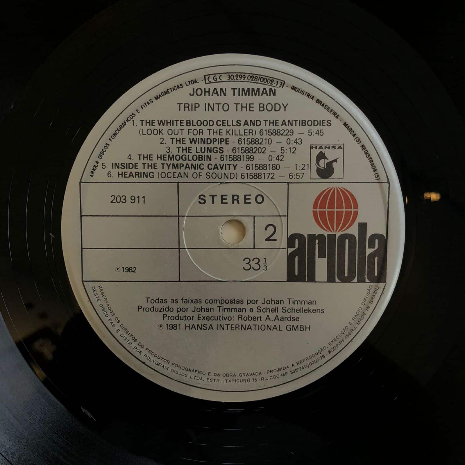 Johan Timman - Trip Into the Body - Boa Viagem Discos