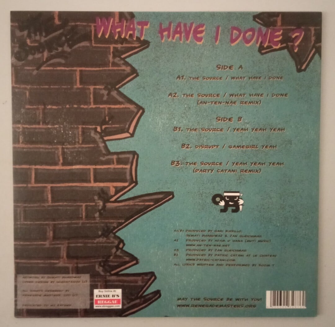 The Source - What Have I Done | LP Vinil | Boa Viagem Discos