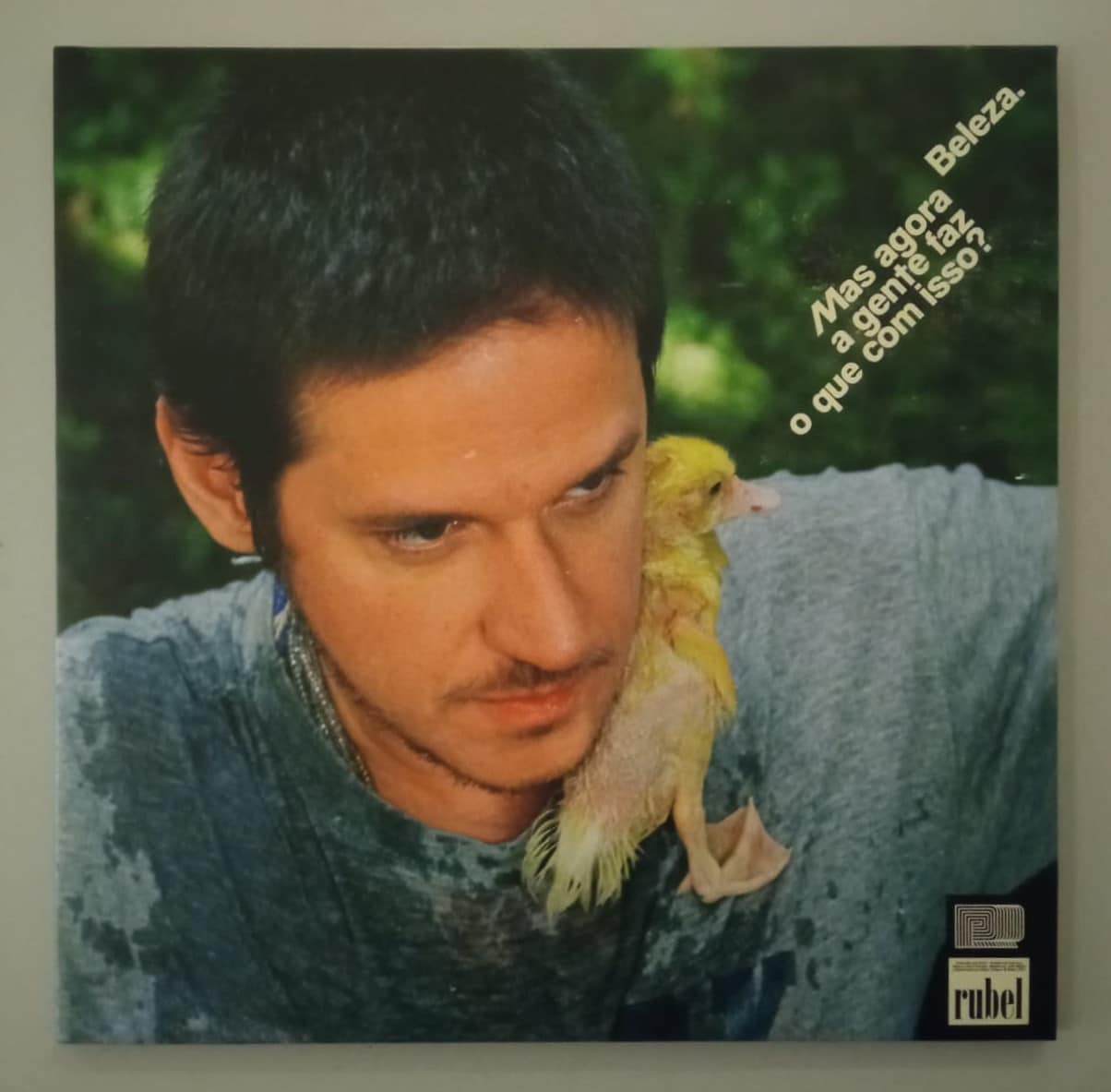 Rubel – Beleza. Mas Agora A Gente Faz O Que Com Isso | LP Vinil | Boa ...